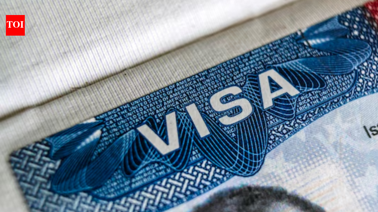 Techie drops Microsoft role in US to return to India: 'Didn't leave to ...